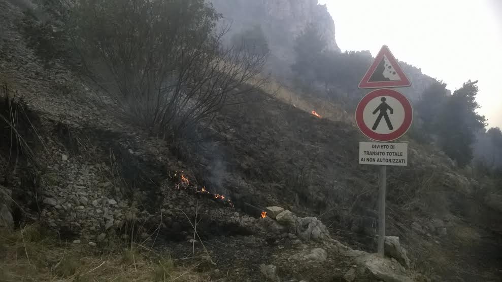L'incendio di Montagna Grande: L'amara riflessione di una lettrice ...